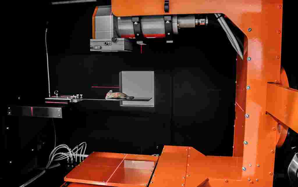 Smart+IB - Precision X-Ray