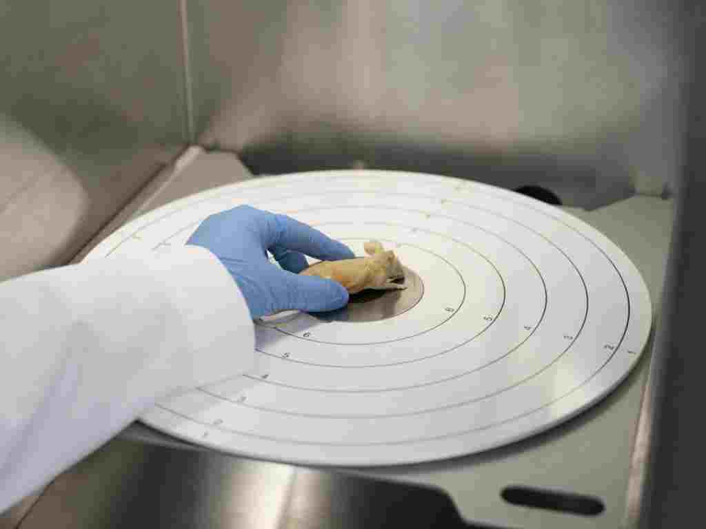 MultiRad225 I X-Ray Irradiation | Precision X-Ray