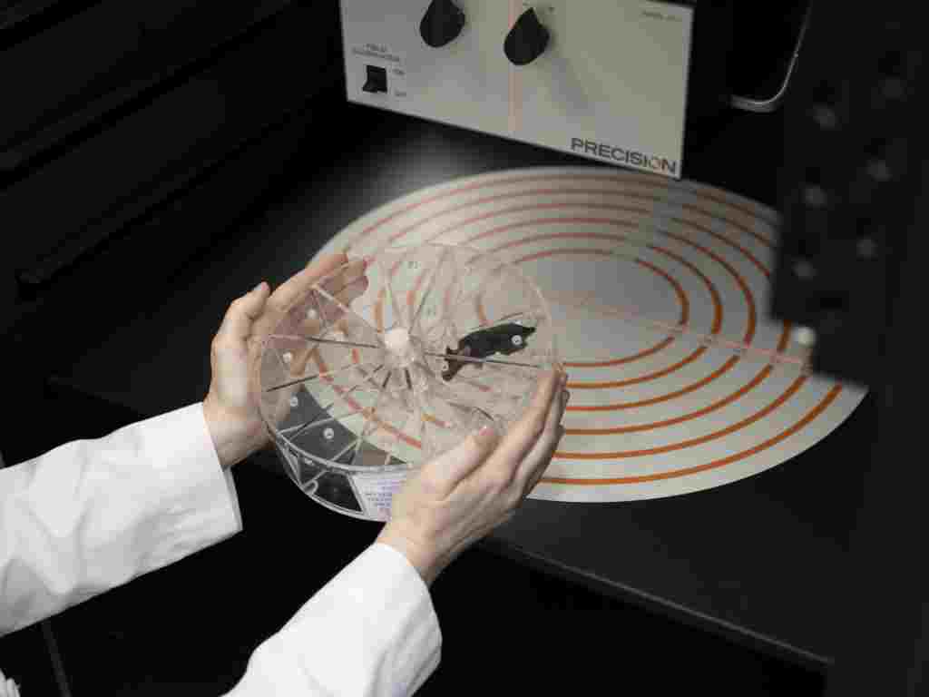 XRad320 I X-Ray Irradiation I Imaging | Precision X-Ray