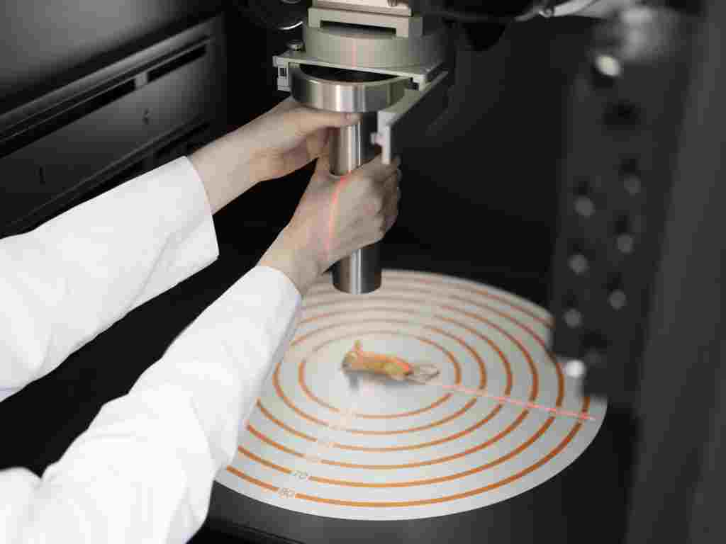 XRad320 I X-Ray Irradiation I Imaging | Precision X-Ray