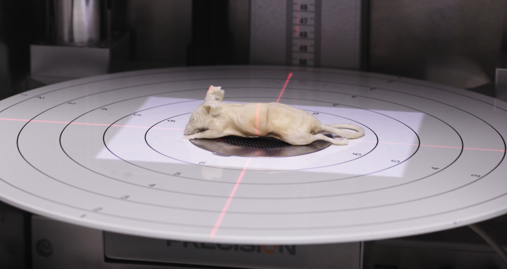 MultiRad Dosimetry | MultiRad Options | Precision X-Ray