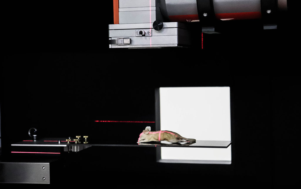 Galleries Archive - Precision X-Ray